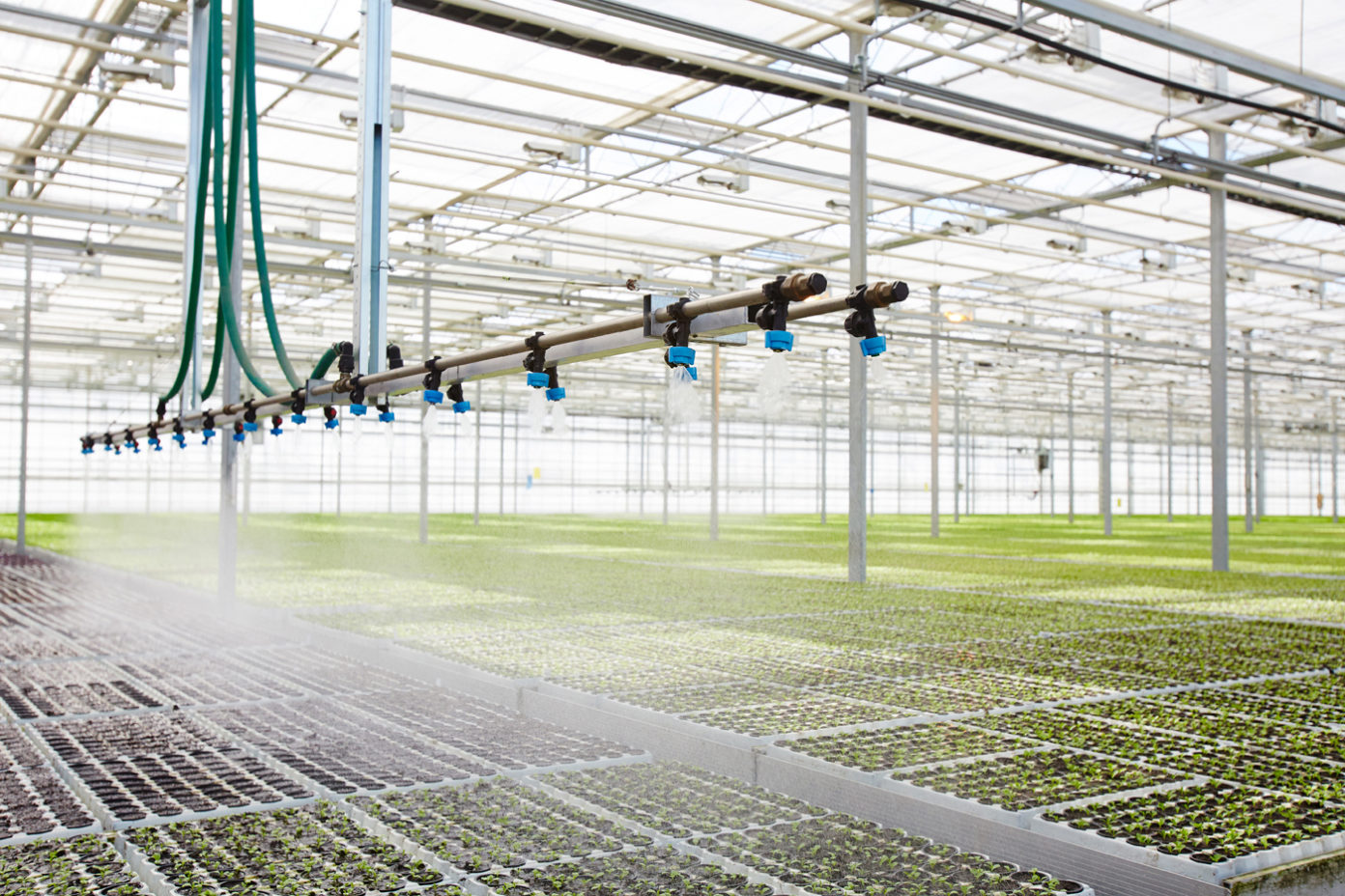 Automating Fertigation Saves Time and Money