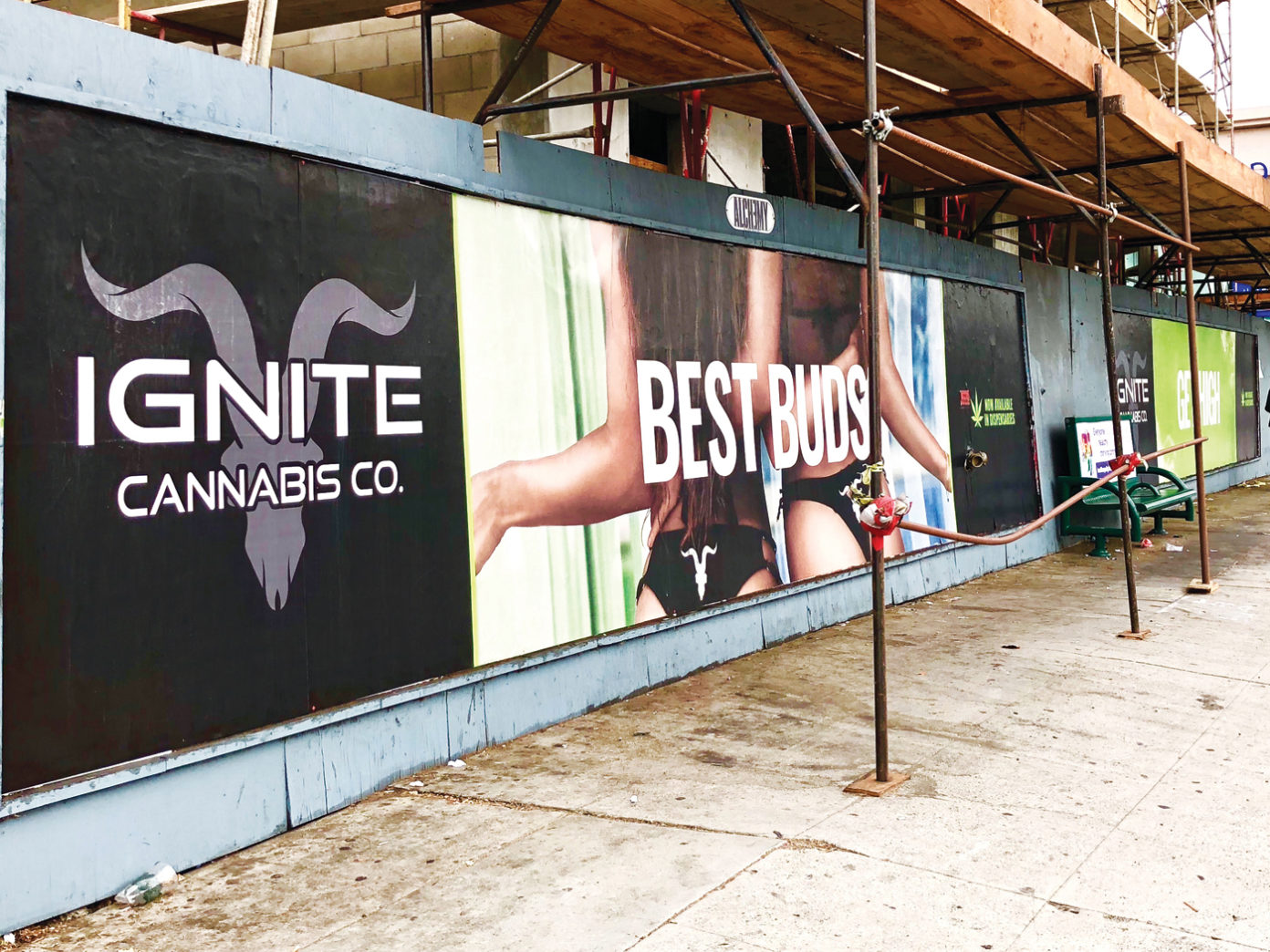 Ignite (the Power of a Brand): The Maverick Effect