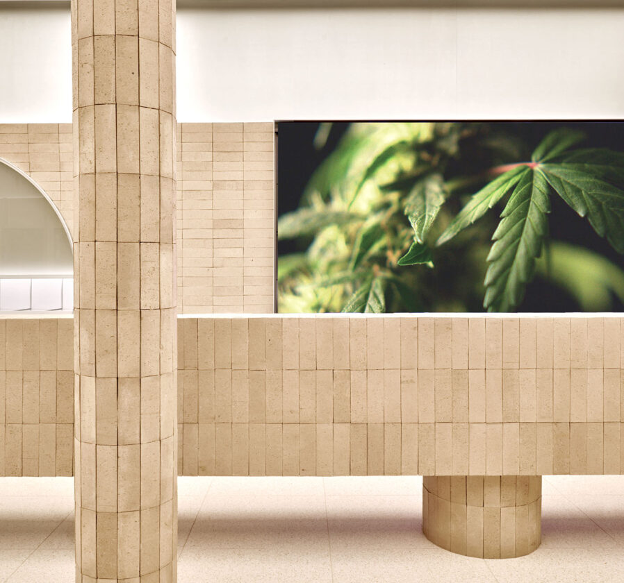 Alchemy: Reimagining the Retail Experience in Toronto