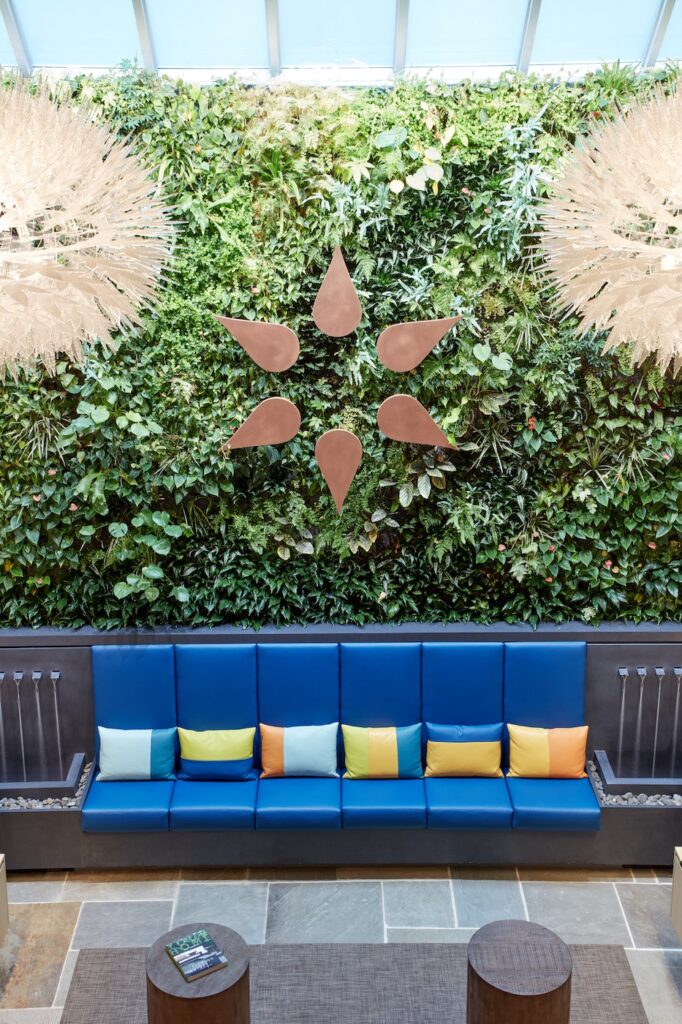 Manhattan Dispensary Etain Engages All Five Senses