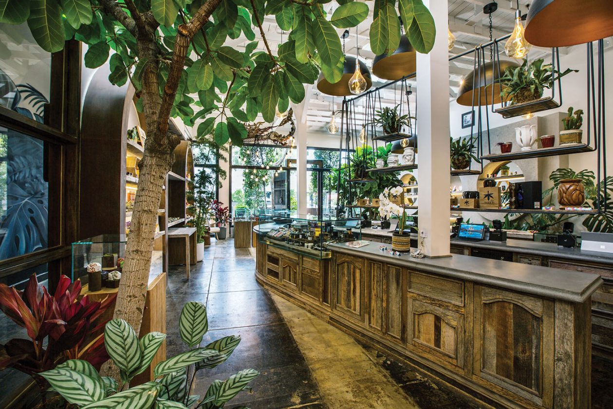 12 Particularly Impressive Dispensary Designs