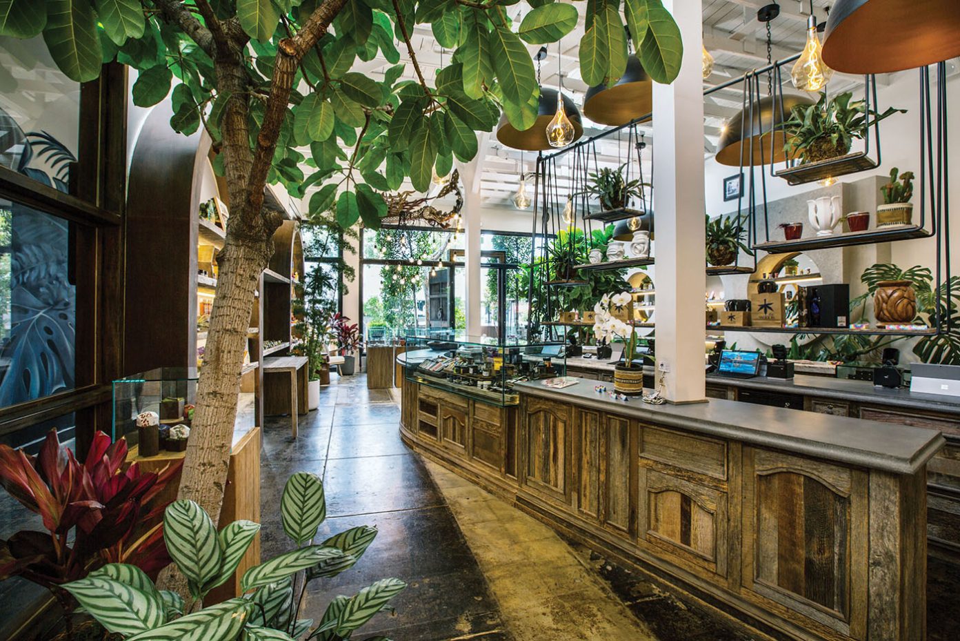 12 Particularly Impressive Dispensary Designs
