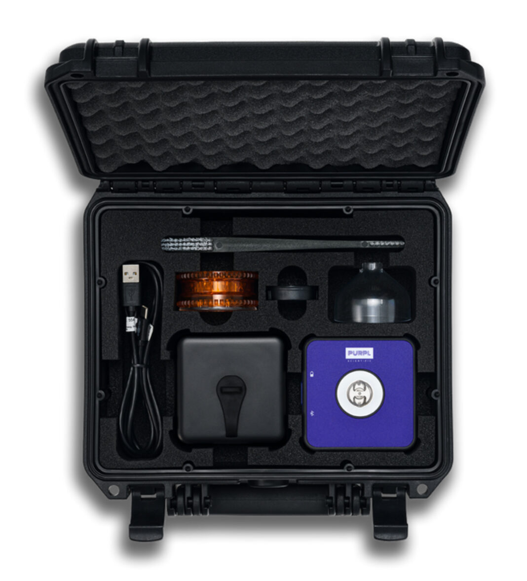 What to Watch in 2024