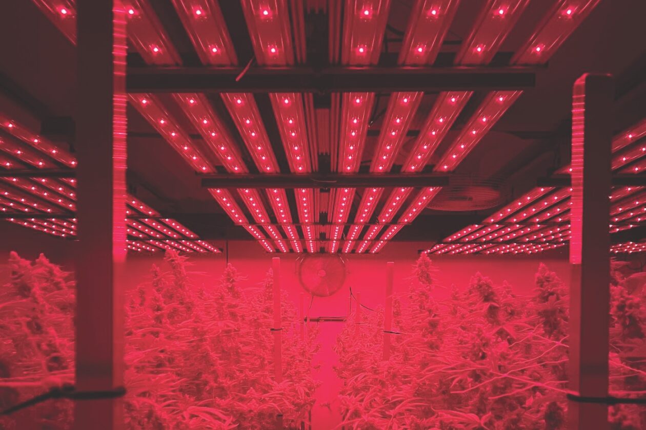 8 Products to Optimize Your Grow