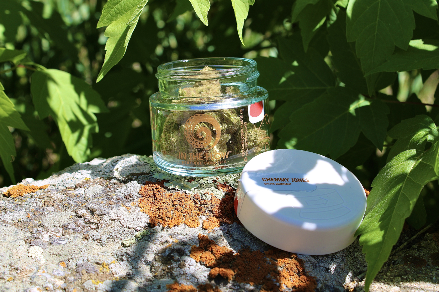 Eco-friendly Cannabis Packaging Made in the USA | Sana Packaging